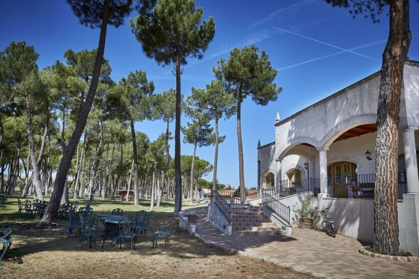 Ribera del Duero: Red Wine Discovery Tour with Tastings - The Sum Up