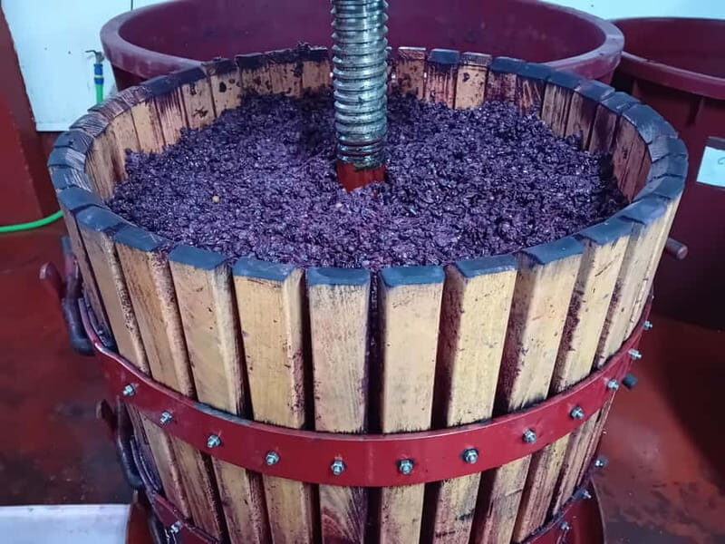 Ribera del Duero Tour: Three Wineries & Lunch from Madrid - Who Should Book This Tour?