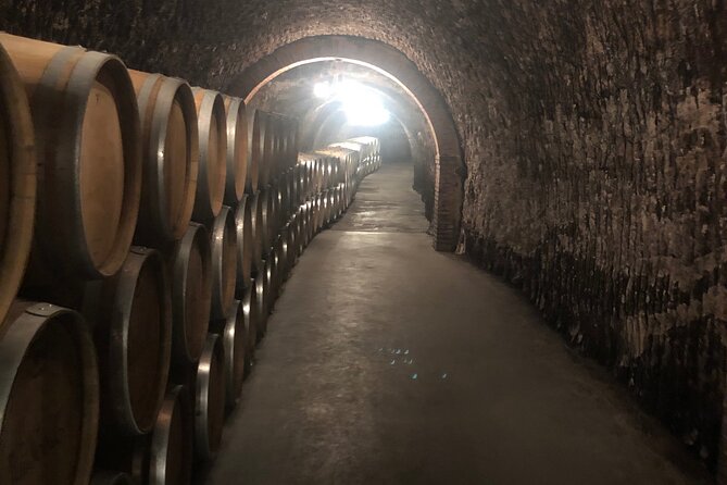 Ribera del Duero Tour: Two Wineries with Transport from Madrid - Key Points
