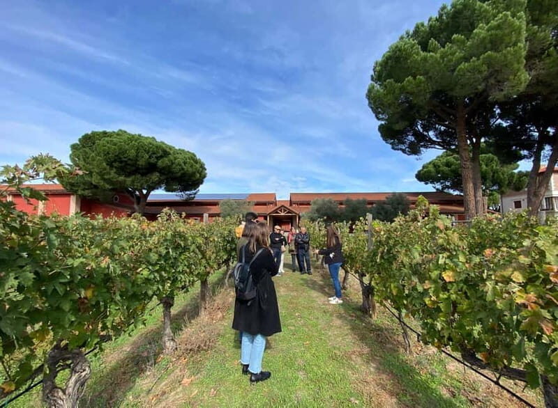 Ribera del Duero: Two Wineries with Transport from Madrid - Discovering the Heart of Spanish Wine: Ribera del Duero Tour from Madrid