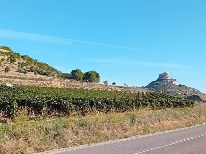 Ribera del Duero: Two Wineries with Transport from Madrid - The Value of this Tour