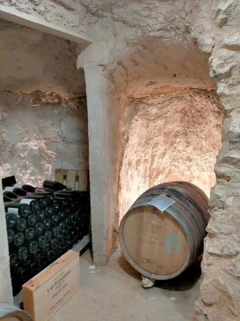 Ribera del Duero: Two Wineries with Transport from Madrid - Practical Tips for Travelers