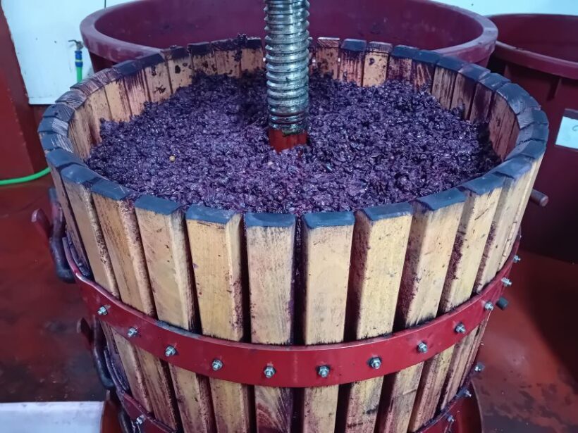 Ribera del Duero: Two Wineries with Transport from Madrid - Frequently Asked Questions