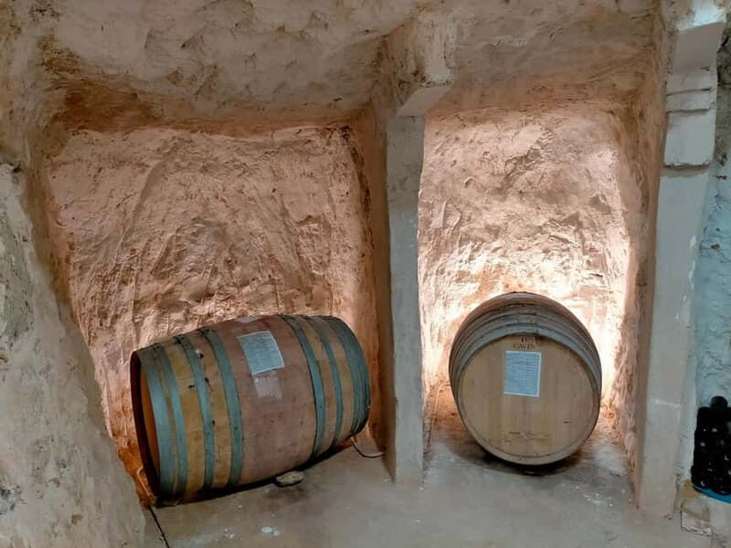 Ribera del Duero: Two Wineries with Transport from Madrid - Final Thoughts