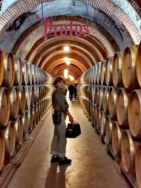 Ribera del Duero wine region private tour - Key Points