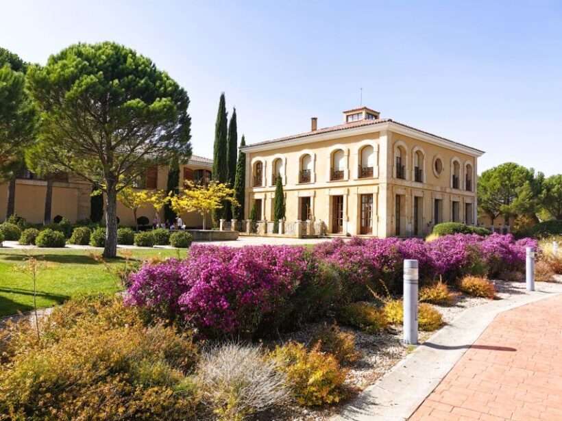 Ribera del Duero wine region private tour - A Day in Ribera del Duero: An Overview