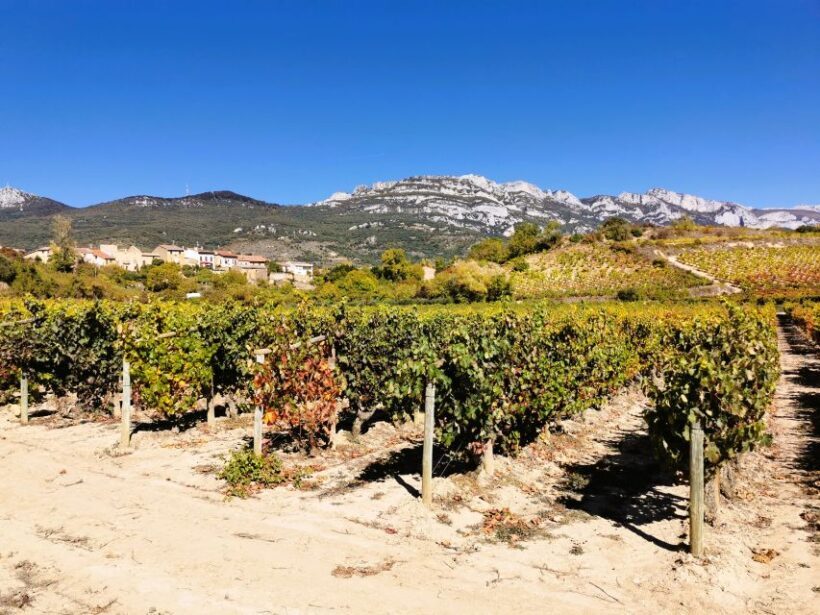 Ribera del Duero wine region private tour - Exploring a Historic Family Winery