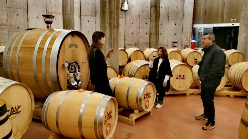 Ribera del Duero wine region private tour - The Scenic Return and Reflection