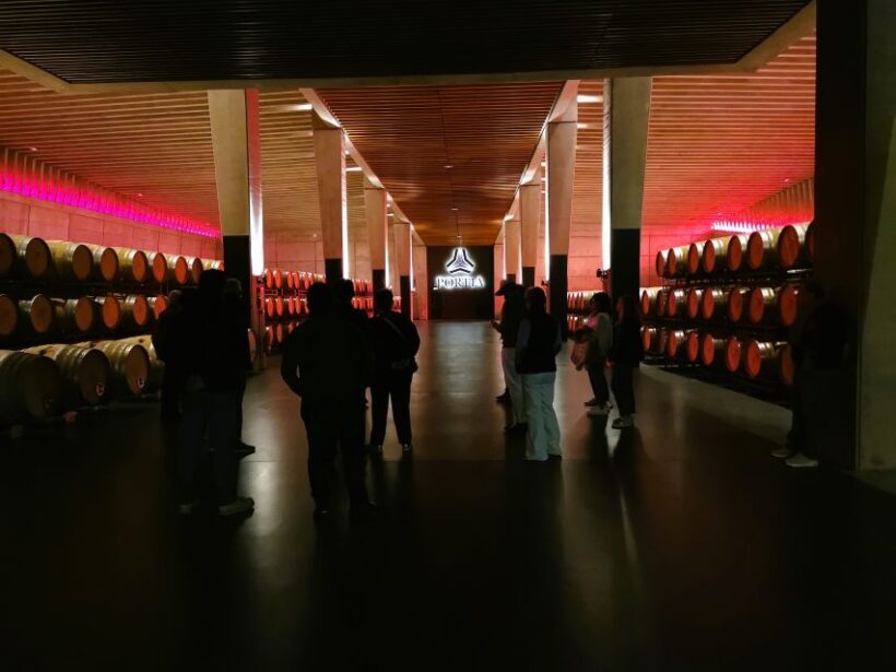 Ribera del Duero wine region private tour - Is This Tour Worth the Price?