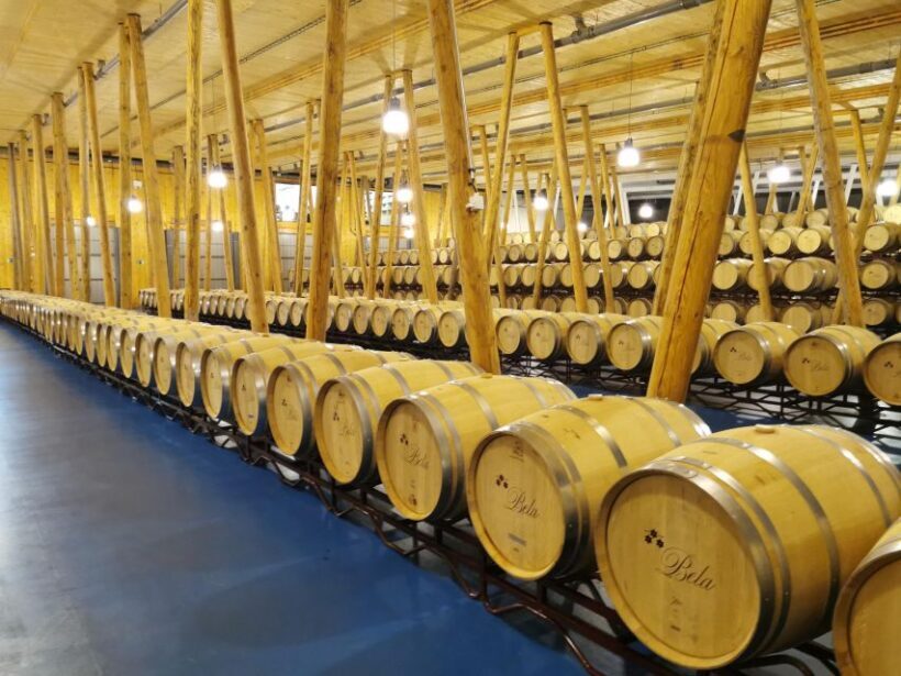Ribera del Duero wine region private tour - Who Will Love This Experience?