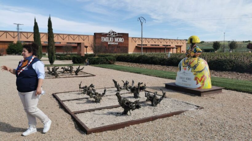 Ribera del Duero wine region private tour - FAQs