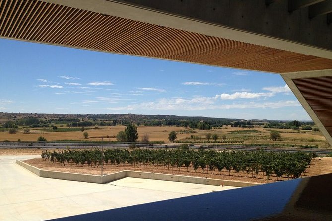Ribera del Duero Wineries Guided Tour & Wine Tasting from Madrid - The Final Word