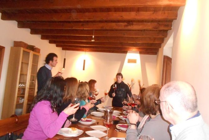 Ribera Del Duero Winery Guided Tour and Wine Tasting From Madrid - Itinerary and Activities