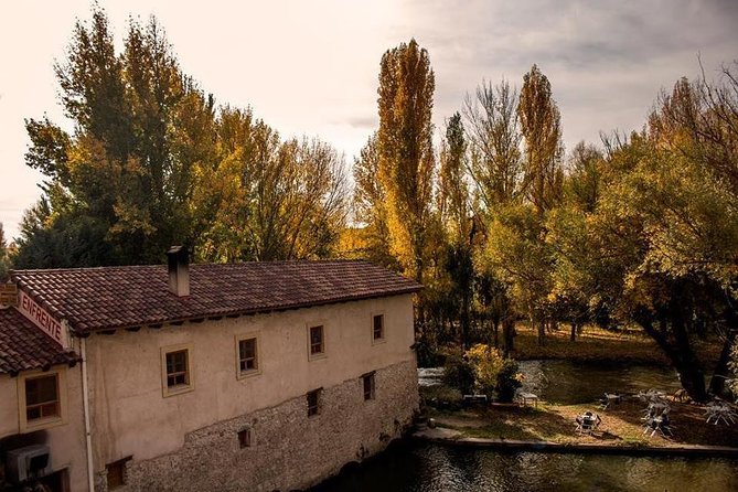 Ribera Del Duero Winery Guided Tour and Wine Tasting From Madrid - Customer Experiences