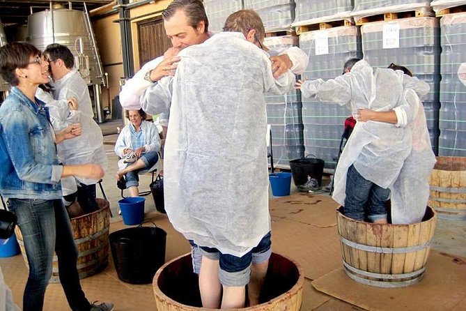 Ribera Del Duero Winery Guided Tour and Wine Tasting From Madrid - Additional Information