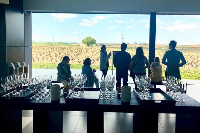 Ribera Del Duero Winery Guided Tour and Wine Tasting From Madrid - Discover Ribera Del Dueros Winemaking Legacy