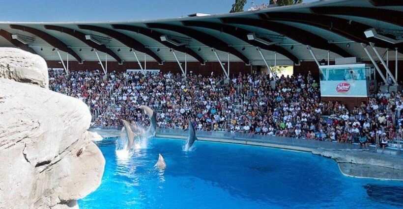 Riccione: Oltremare Park Entrance Ticket - Detailed Breakdown of the Experience