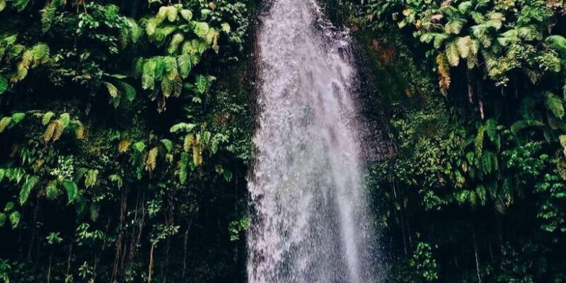 Rice Field - Benang Kelambu & Benang Stokel Waterfall Trip - An In-Depth Look at the Waterfall Adventure