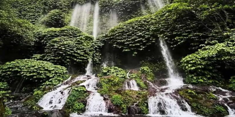 Rice Field - Benang Kelambu & Benang Stokel Waterfall Trip - Authentic Experiences and Traveler Feedback