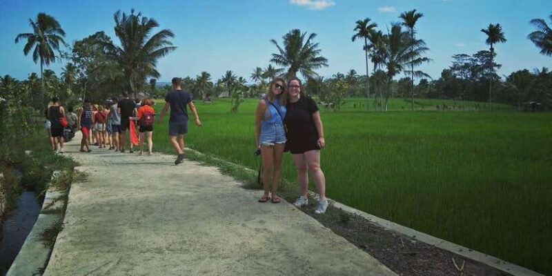Rice Field - Benang Kelambu & Benang Stokel Waterfall Trip - FAQ