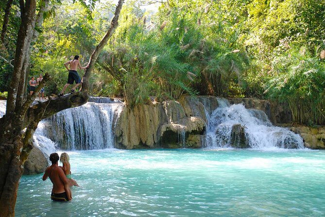Rice is Life Experience & Kuang Si Waterfall - Luang Prabang full day tour - Overview of the Tour