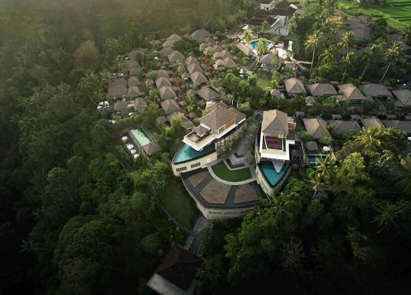 Rice Paddy Elegance: Gourmet Breakfast or High Tea in Ubud - An In-Depth Look at the Rice Paddy Elegance Experience