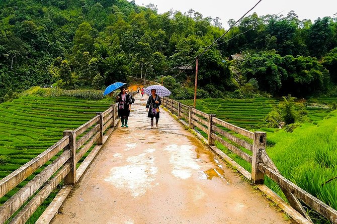 Rice Terraced Fields & Homestay Experience 2D 1N - The Pace and Physicality