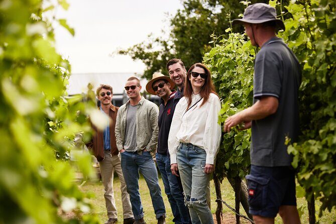 Richmond and Wine Tour - An In-Depth Look at the Richmond and Wine Tour