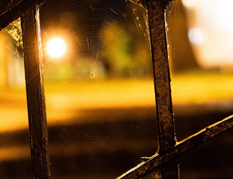 Richmond Ghosts Boos and Booze Haunted Pub Crawl - Detailed Breakdown of the Experience