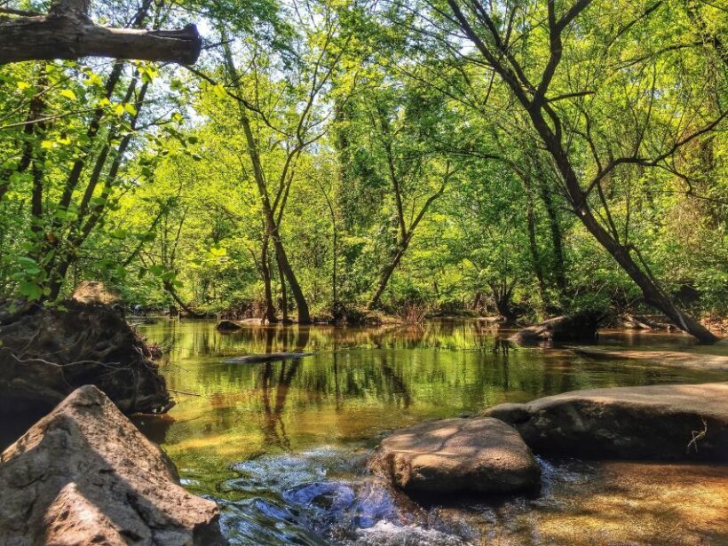 Richmond: Guided Hike in James River Park - Key Points