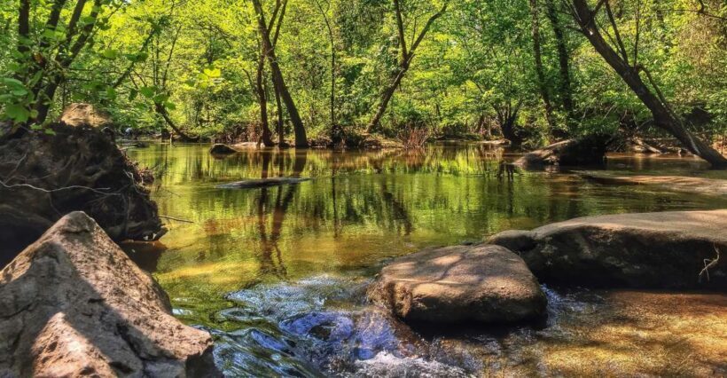 Richmond: Guided Hike in James River Park - What to Expect on the Day