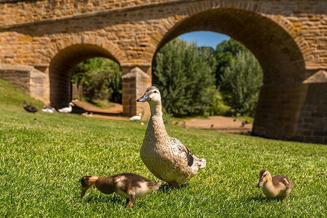 Richmond Historic Afternoon Tour from Hobart - Scenic Drive through Coal River Valley