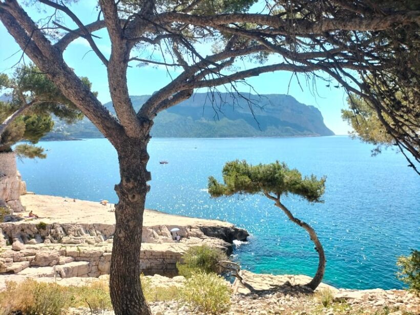Richness of Provence in one day - customizable private trip - A Deep Dive into the Experience