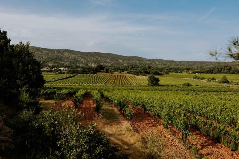 Richness of Provence in one day - customizable private trip - FAQ