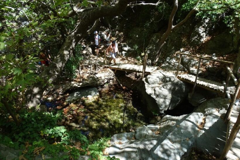 Richtis Gorge Private Guided Hiking Tour - Key Points