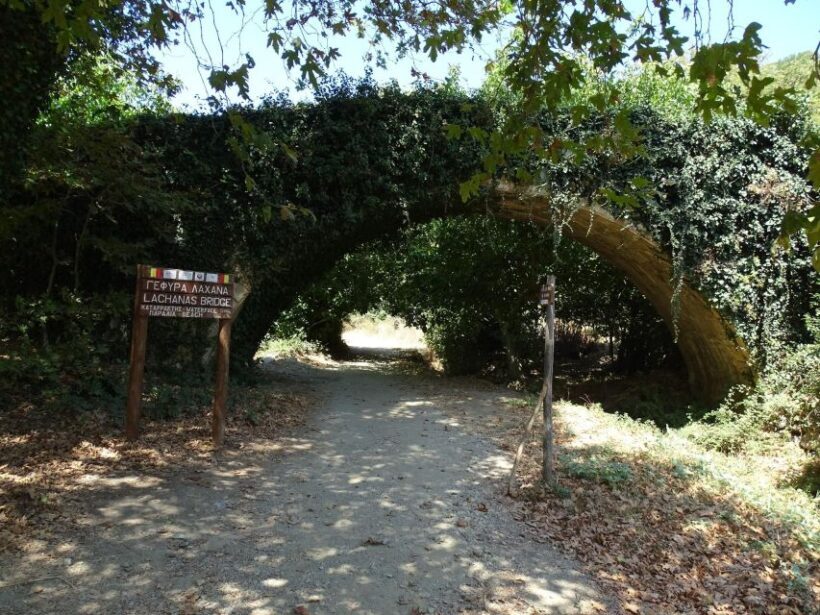 Richtis Gorge Private Guided Hiking Tour - Insights from Reviews and Practical Details