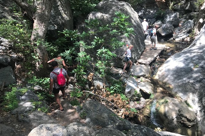 Richtis Waterfall, History, Azoria, OliveTasting, NorthCoast - The Value and Who Will Love This Tour