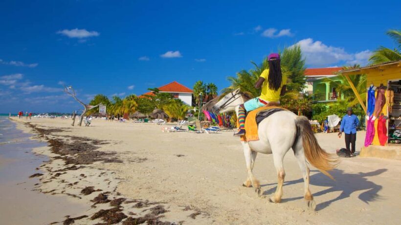 Ricks cafe & 7mile Beach Private Tour from Montego Bay. - Key Points