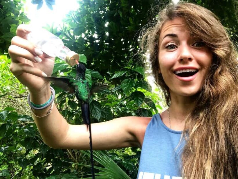 Ricks Cafe and Barney's Hummingbird Garden Tour - FAQ