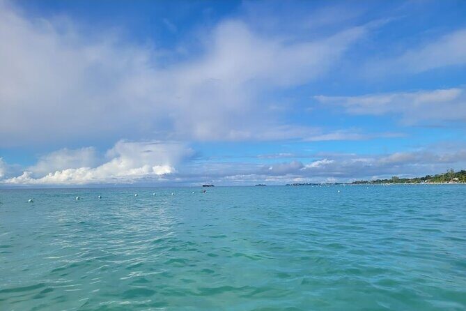 Ricks cafe negril tour - Transport and Comfort