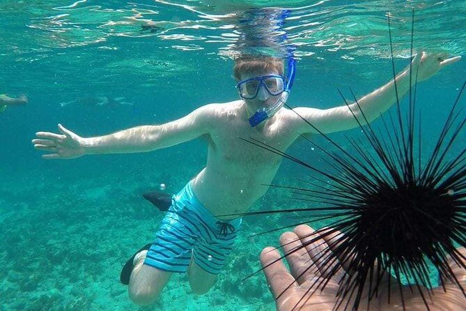 Rick's Cafe Sunset Cruise and Snorkelling - Key Points