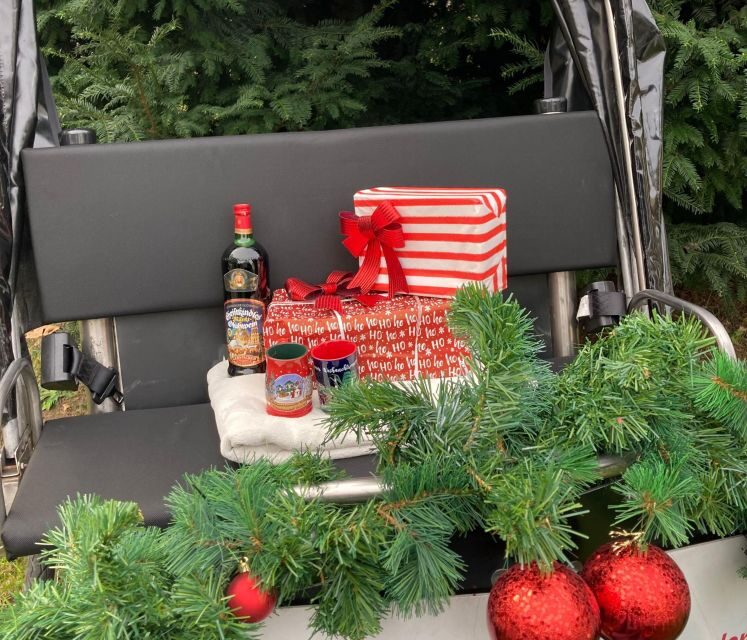 Rickshaw Glühwein Ride - Exploring Cologne in a Rickshaw: An Authentic and Cozy Experience