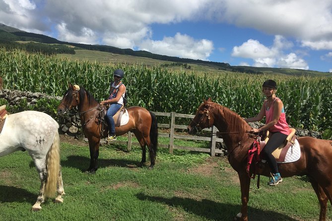 Ride a Volcano - Go to the Gardens in the Woods - Scenic Views Along the Trail