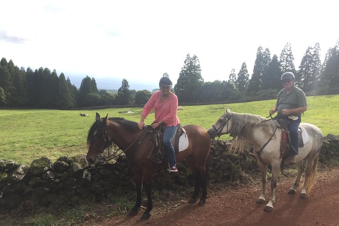 Ride a Volcano - Go to the Gardens in the Woods - Personalizing Your Riding Experience