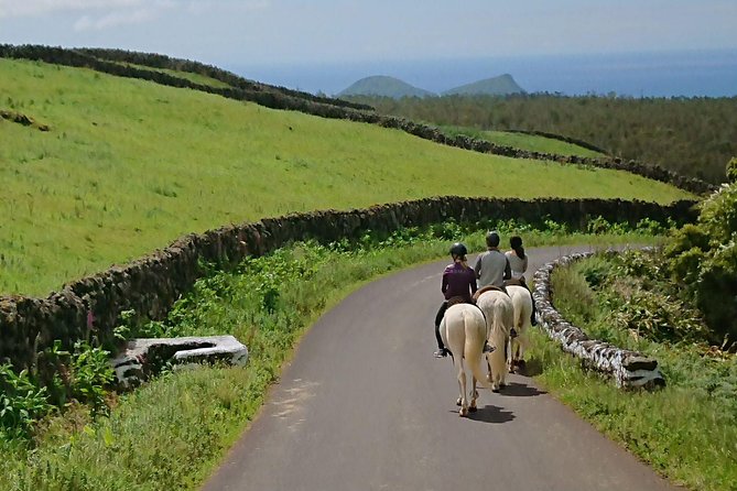 Ride a Volcano - Go to the Gardens in the Woods - Why You Should Book This Experience