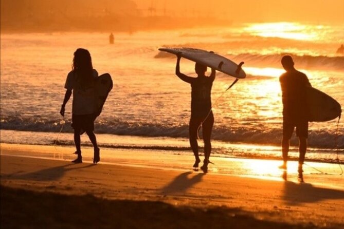 Ride a Wave Surf School Weligama Sri Lanka - Who Will Love This Experience?