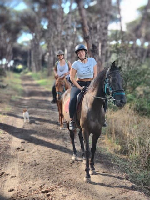 Ride in Rome with meal and wine included - Authenticity and Value