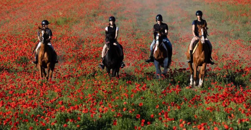 Ride in Rome with meal and wine included - Who Would Love This Tour?