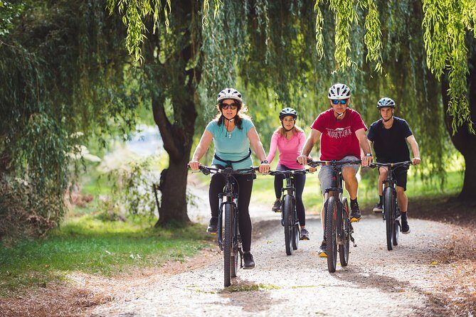 Ride Queenstowns Stunning Trails on a Mountain Bike - An Honest Look at the Mountain Bike Experience in Queenstown