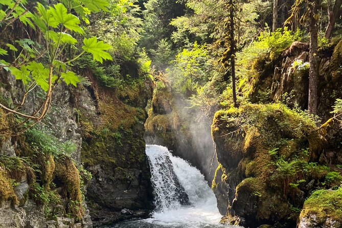 Ride & Roam: Mystery Sightseeing Tour - Final Thoughts: Who Should Book?